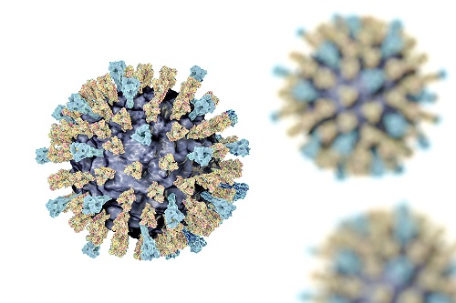 Measles can infect every organ system and lead to a wide range of ...